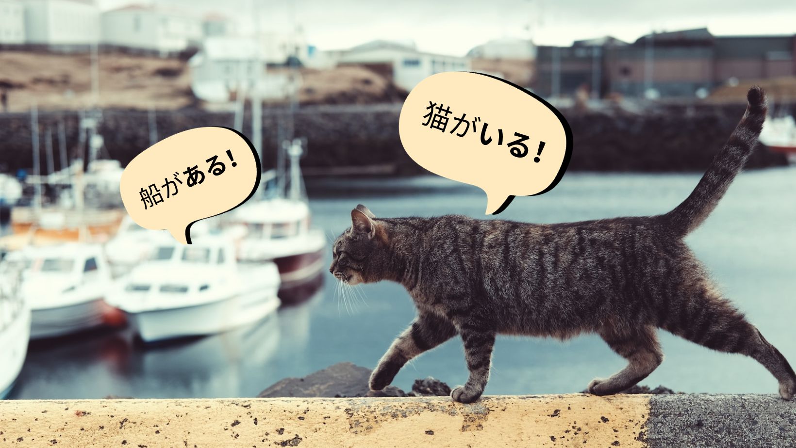 Aru vs. Iru in Japanese ~ wanderingtanuki